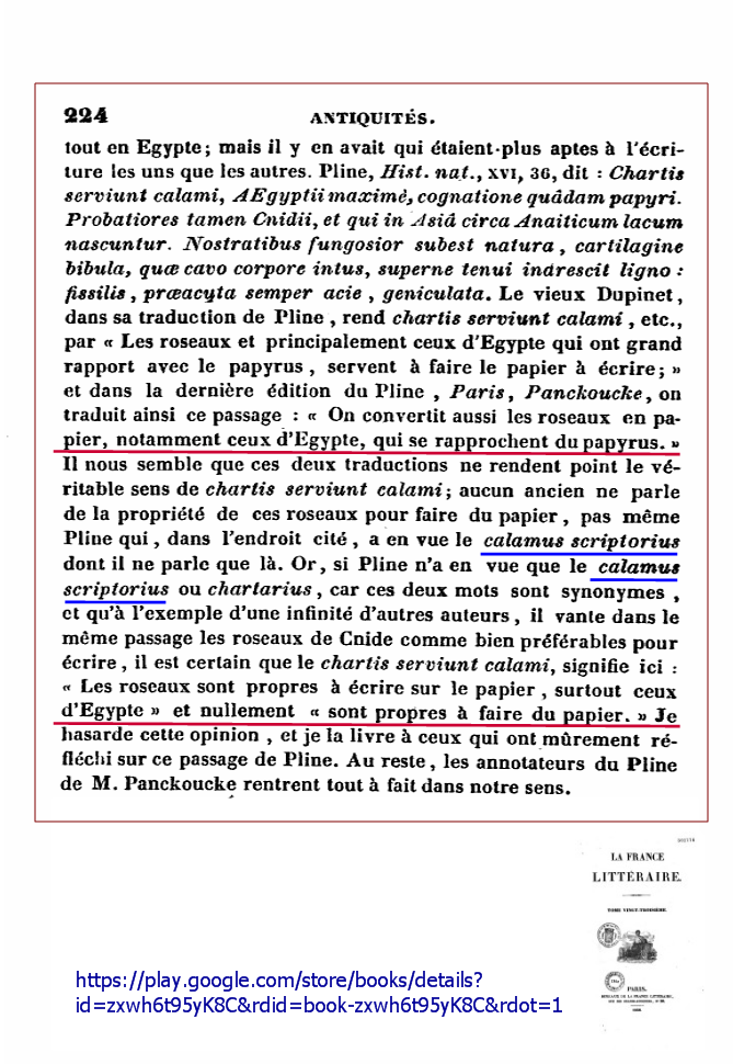 Calamus | Calamus Scriptorius